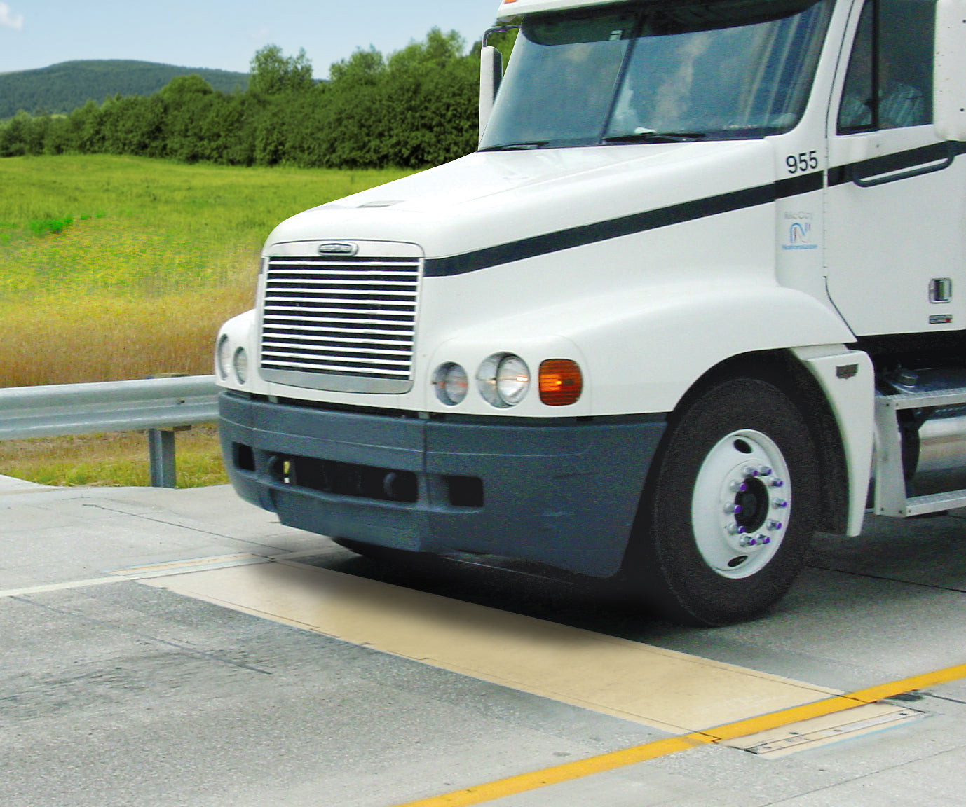 Cardinal SWIM Slow-Speed In-Motion Scales – AAA Weigh