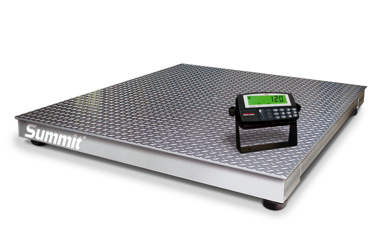 Rice Lake 106915 Summit® 3000 Floor Scale and 120 Plus Indicator Packa ...